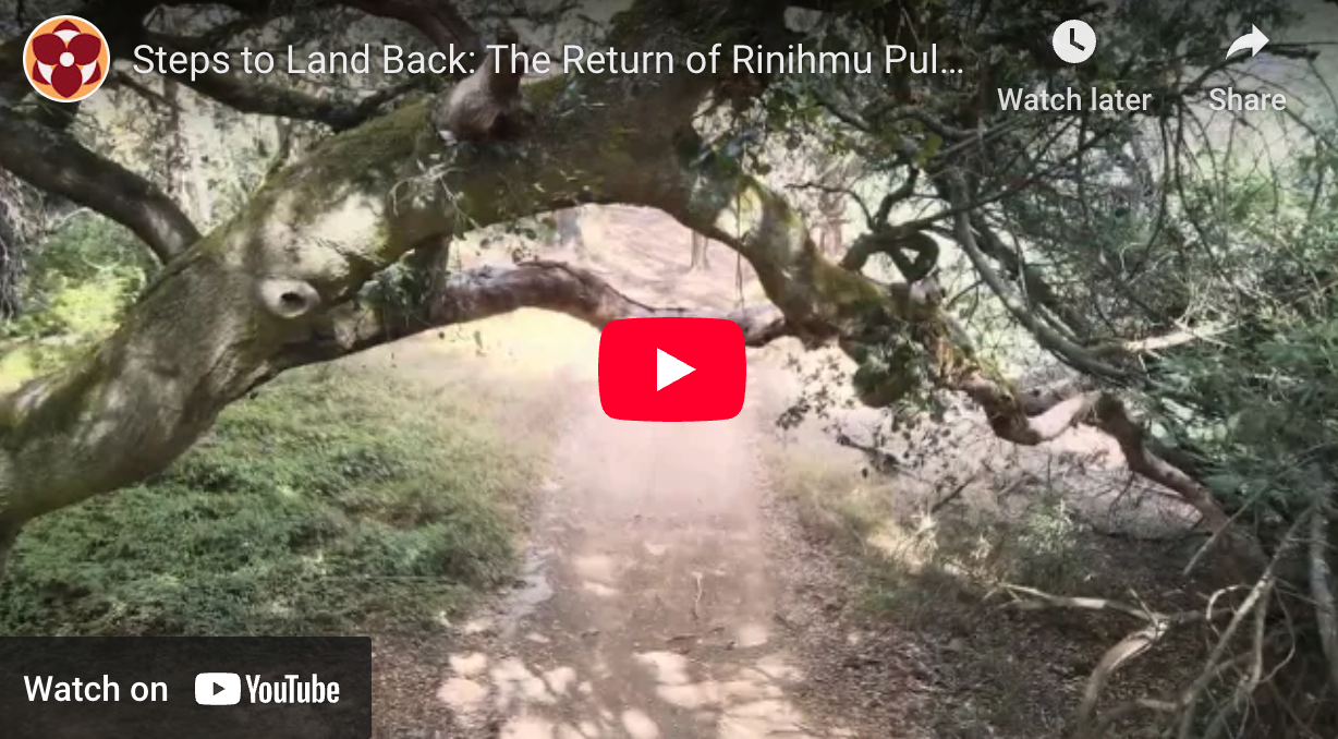 "Steps to Land Back" Video Series - California Council of Land Trusts